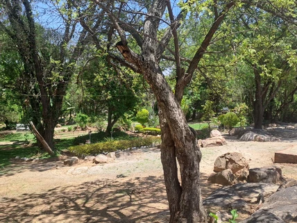 Waterfalls Harare